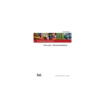 British Standards - Professional Books